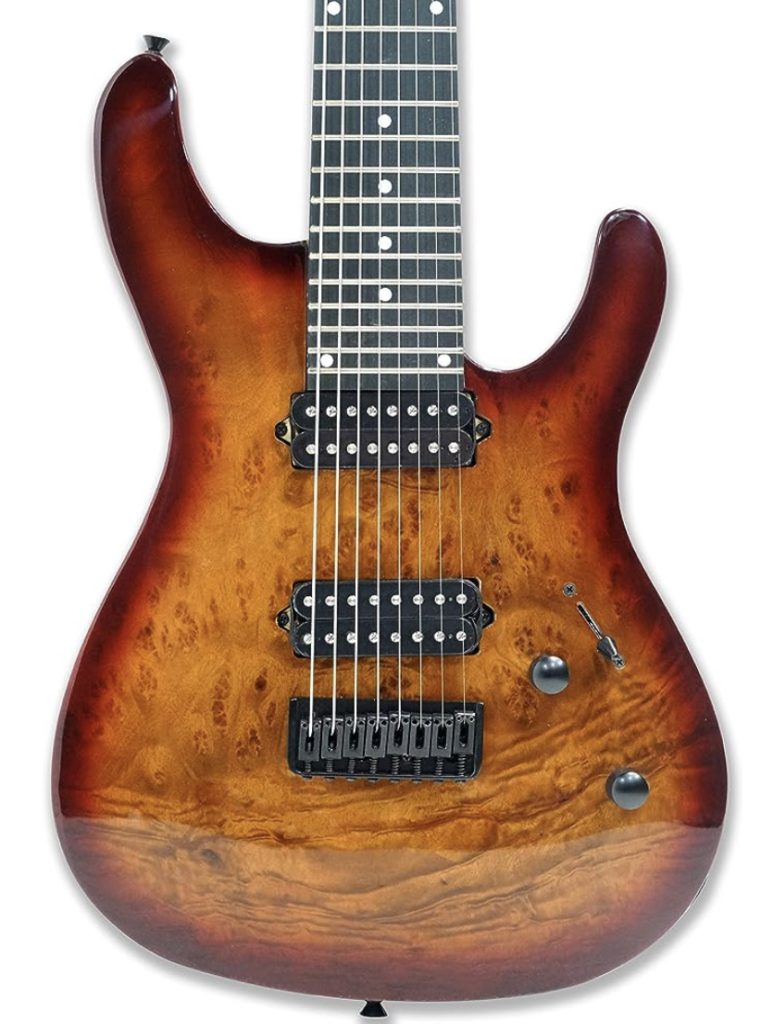 The 8-String Guitar: Expanding Your Possibilities | Play Guitar Review